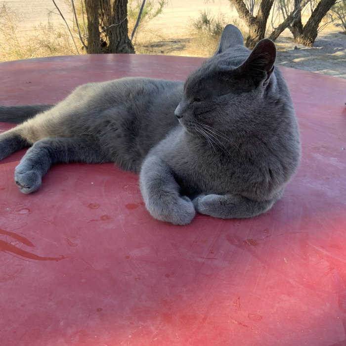 lophic 8 | Trace Hints