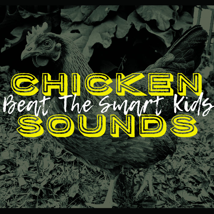 Chicken Sounds | Beat The Smart Kids