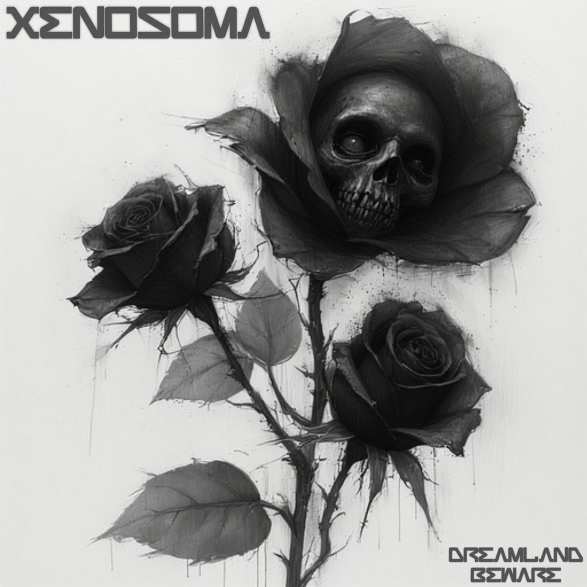 Dreamland Beware | Xenosoma