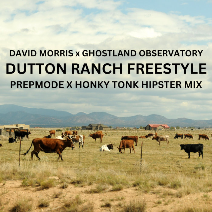 DUTTON RANCH FREESTYLE (PREPMODE x HONKY TONK HIPSTER MIXES) - DAVID ...