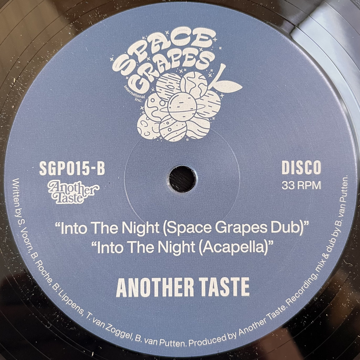 Into The Night (Space Grapes Dub) | Another Taste