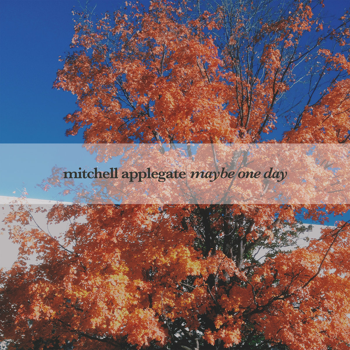 The One I'm Waiting For | Mitchell Applegate