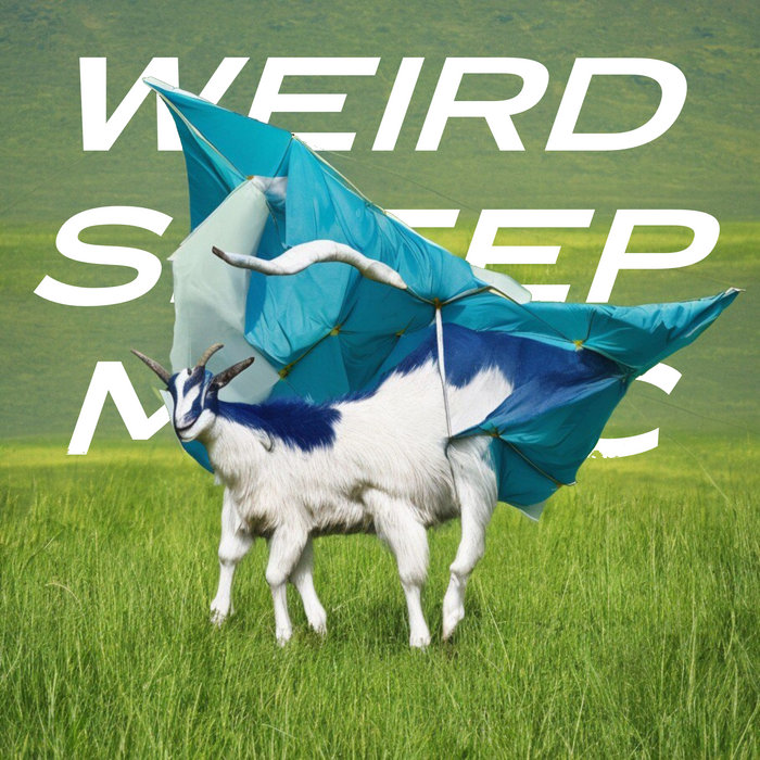 Weird Sheep Music | eglidanza