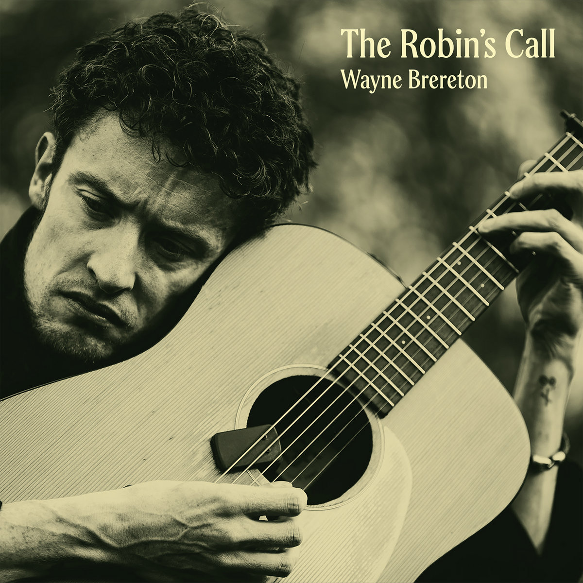 The Robin's Call | Wayne Brereton