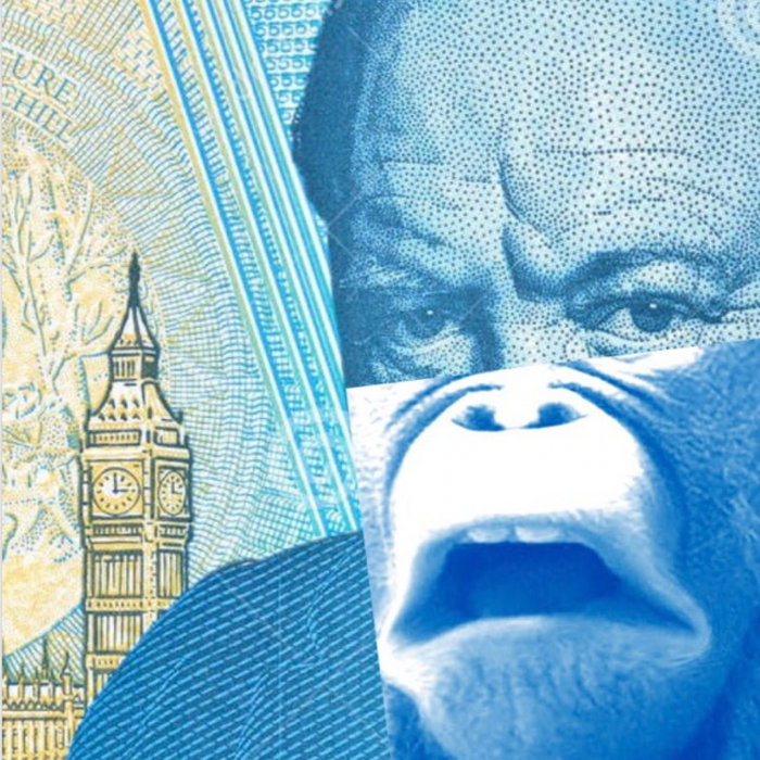 500 Monkey Boom! | TheCrookedHooks