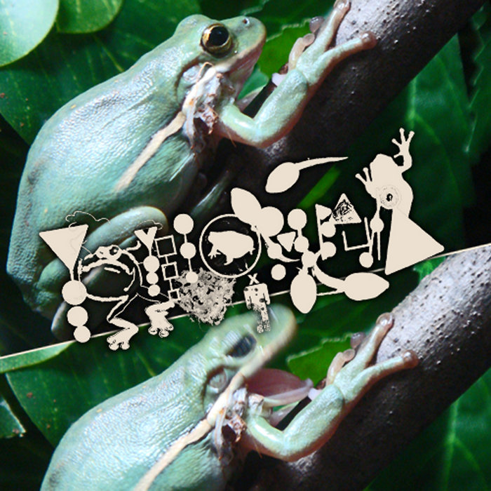 Mental State Of Shedding Hylids | Phyllomedusa