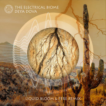 Music | Liquid Bloom