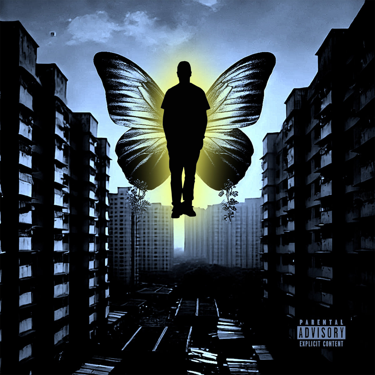 SolFly | Madsol Desar