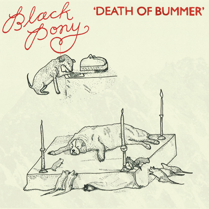Death of Bummer | Black Pony