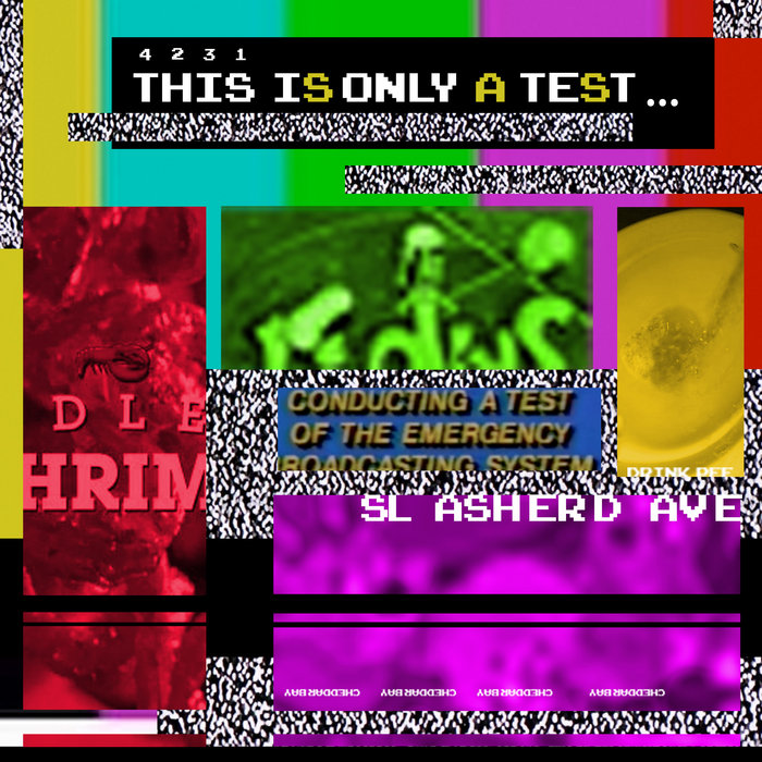 THIS IS ONLY A TEST... | Slasher Dave