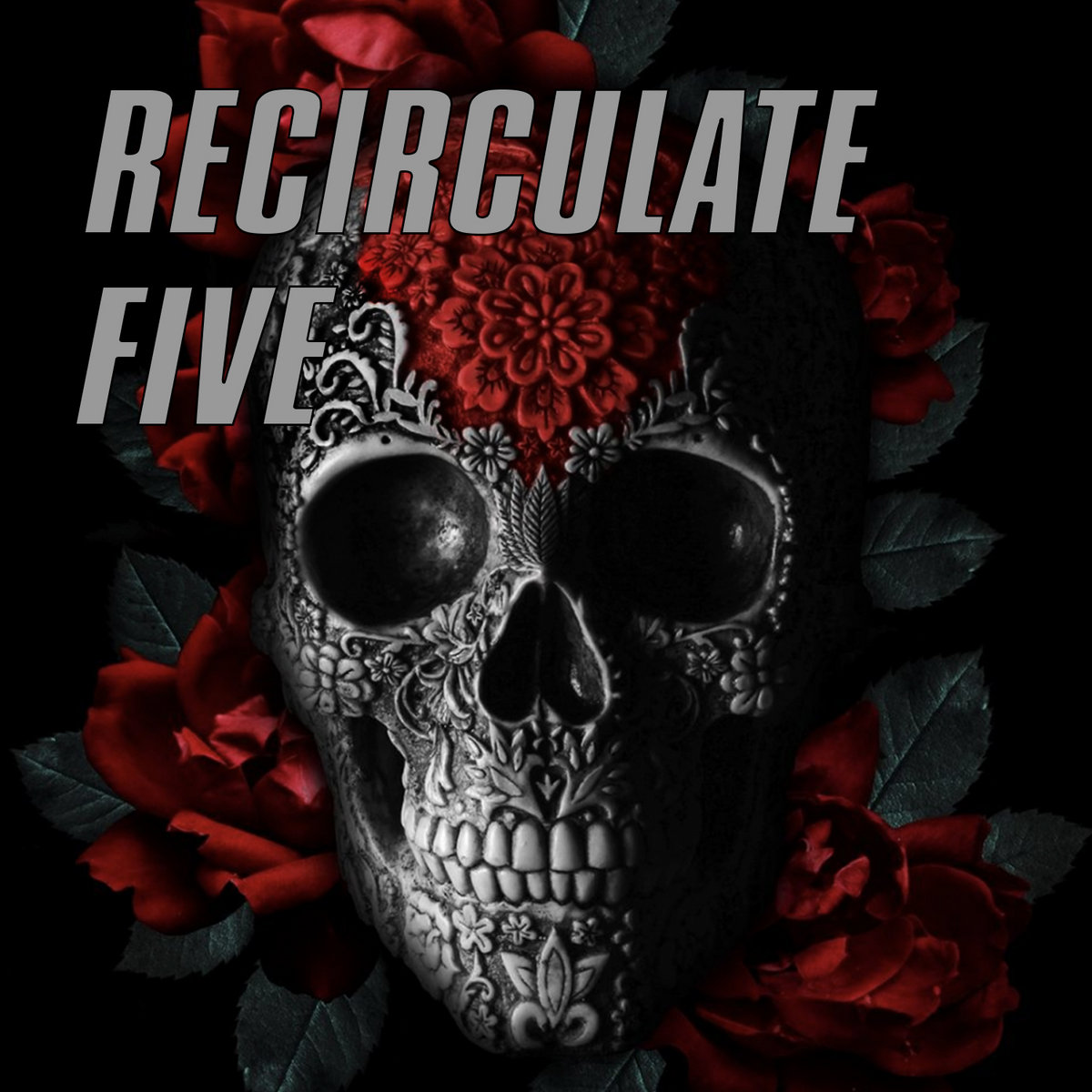 Recirculate Five | Circulation