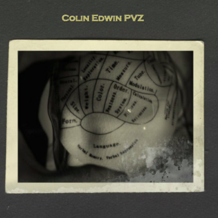 PVZ | Colin Edwin