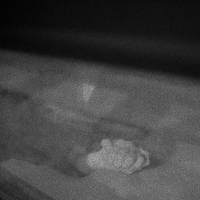 Comme on murmure | cabane