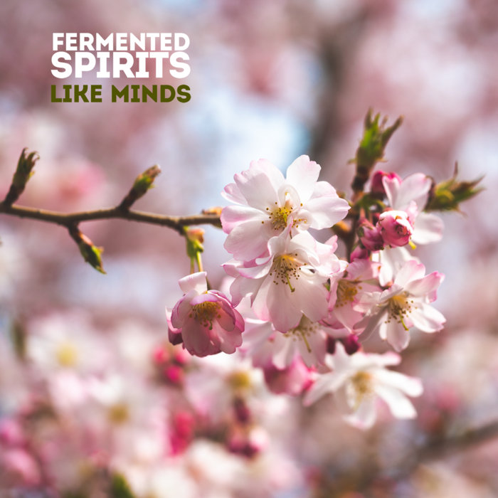 Relax | Fermented Spirits | dumhi