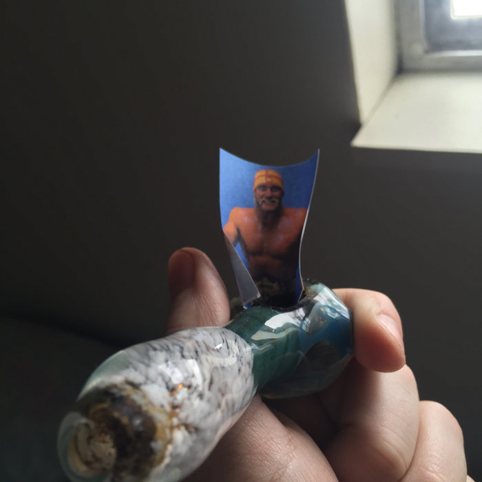 hulk hogan ate all my weed | fourtwentyfightclub | My Plug's House Records