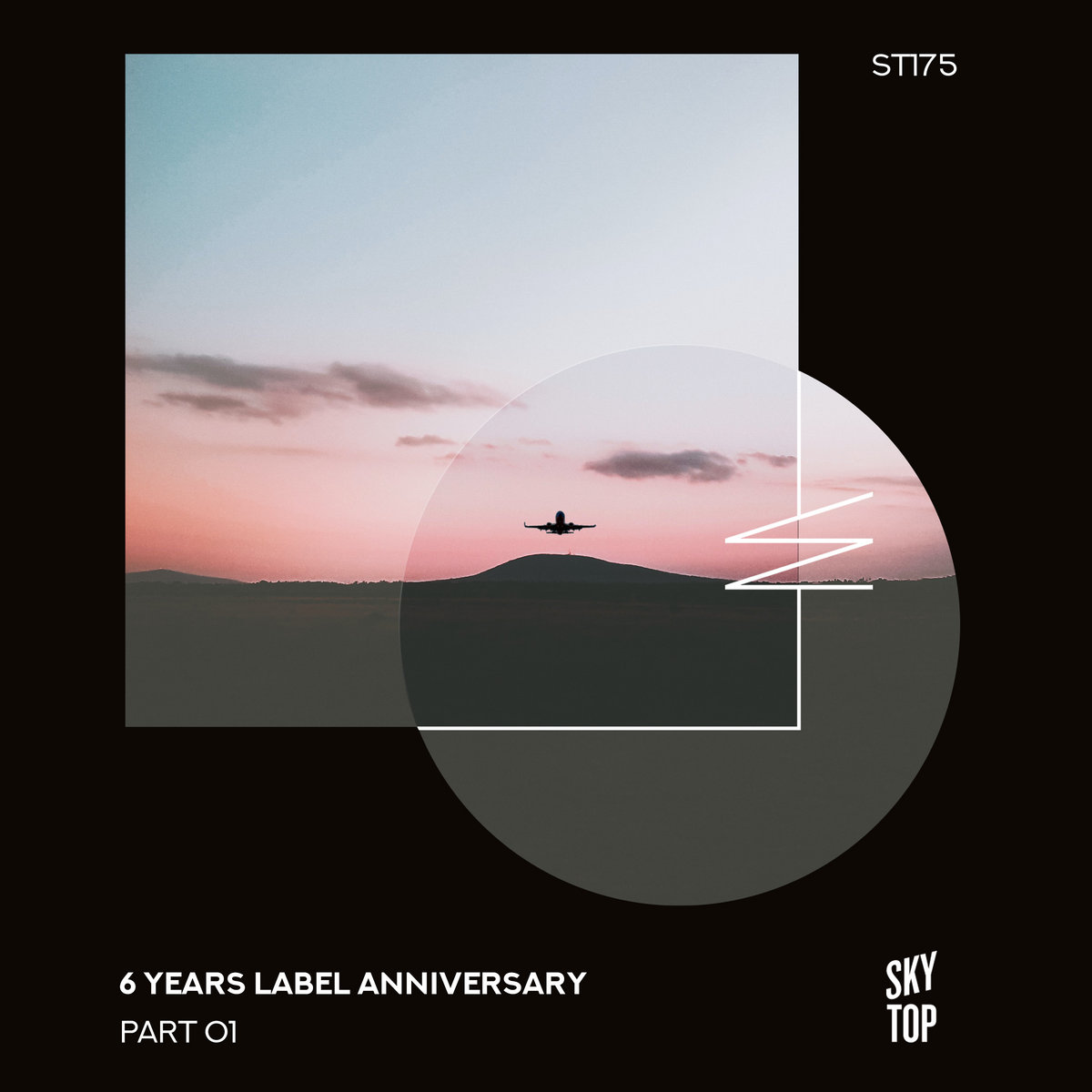 SkyTop 6 Years Label Anniversary, Pt. 1 | Various Artists | Intricate ...