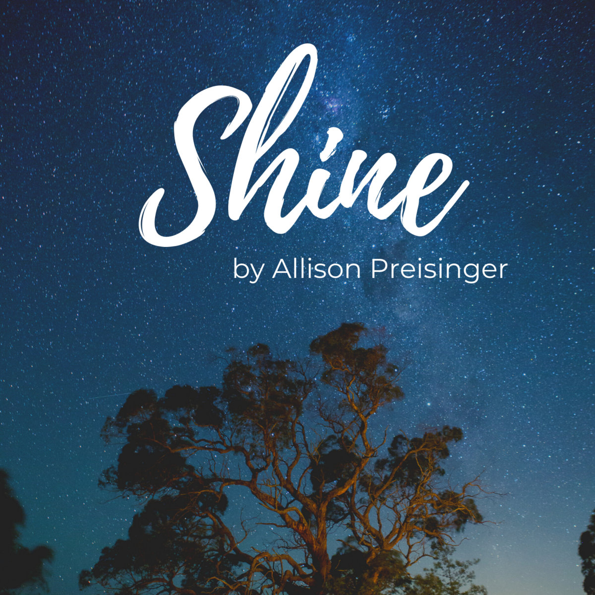 Shine | Allison Preisinger