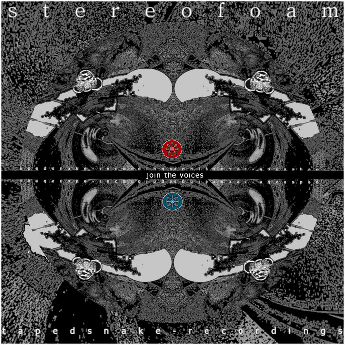 ⚛ jOiN tHE vOiCEs ⚛ | stereofoam