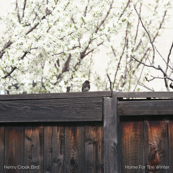 Home For The Winter | Henry Crook Bird
