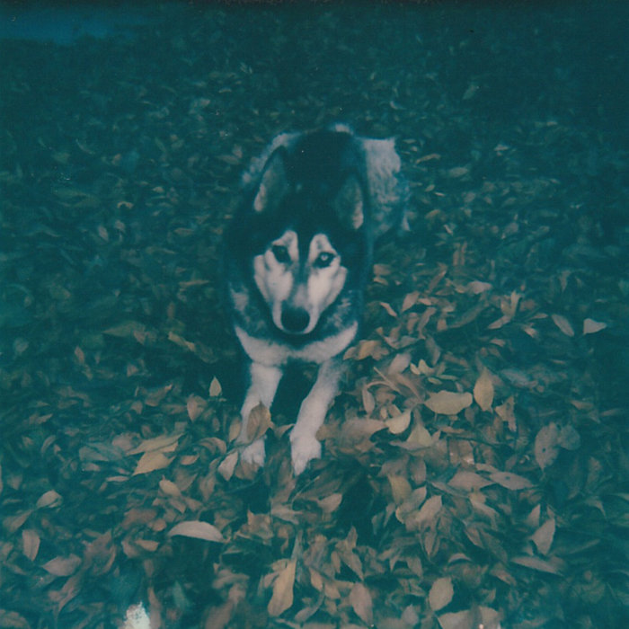 When The Leaves Fall | Luis G Music