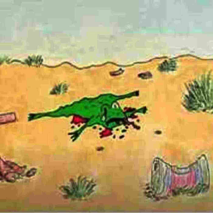 frog/baseball | machicolations