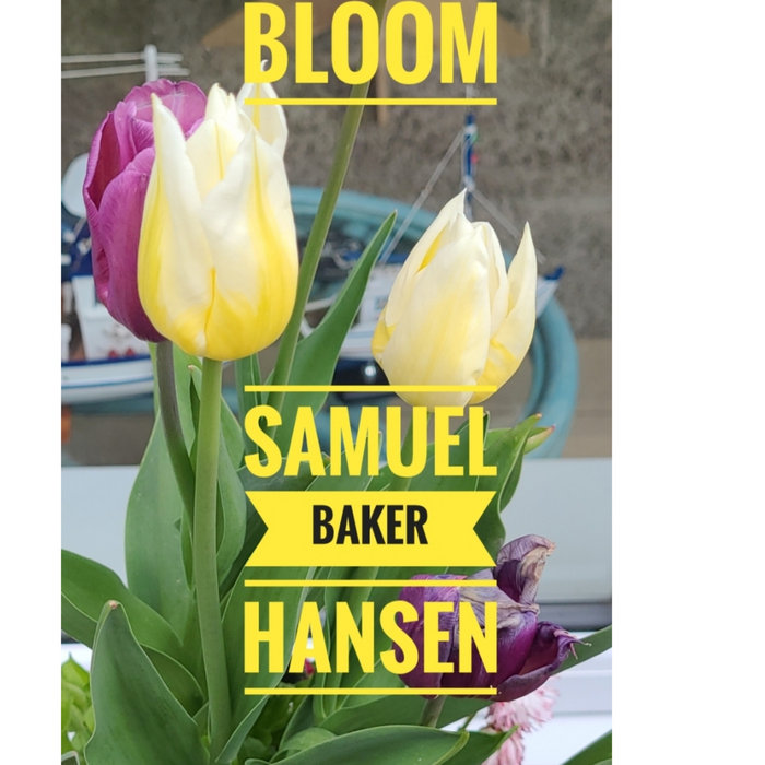 Bloom | Samuel Christians