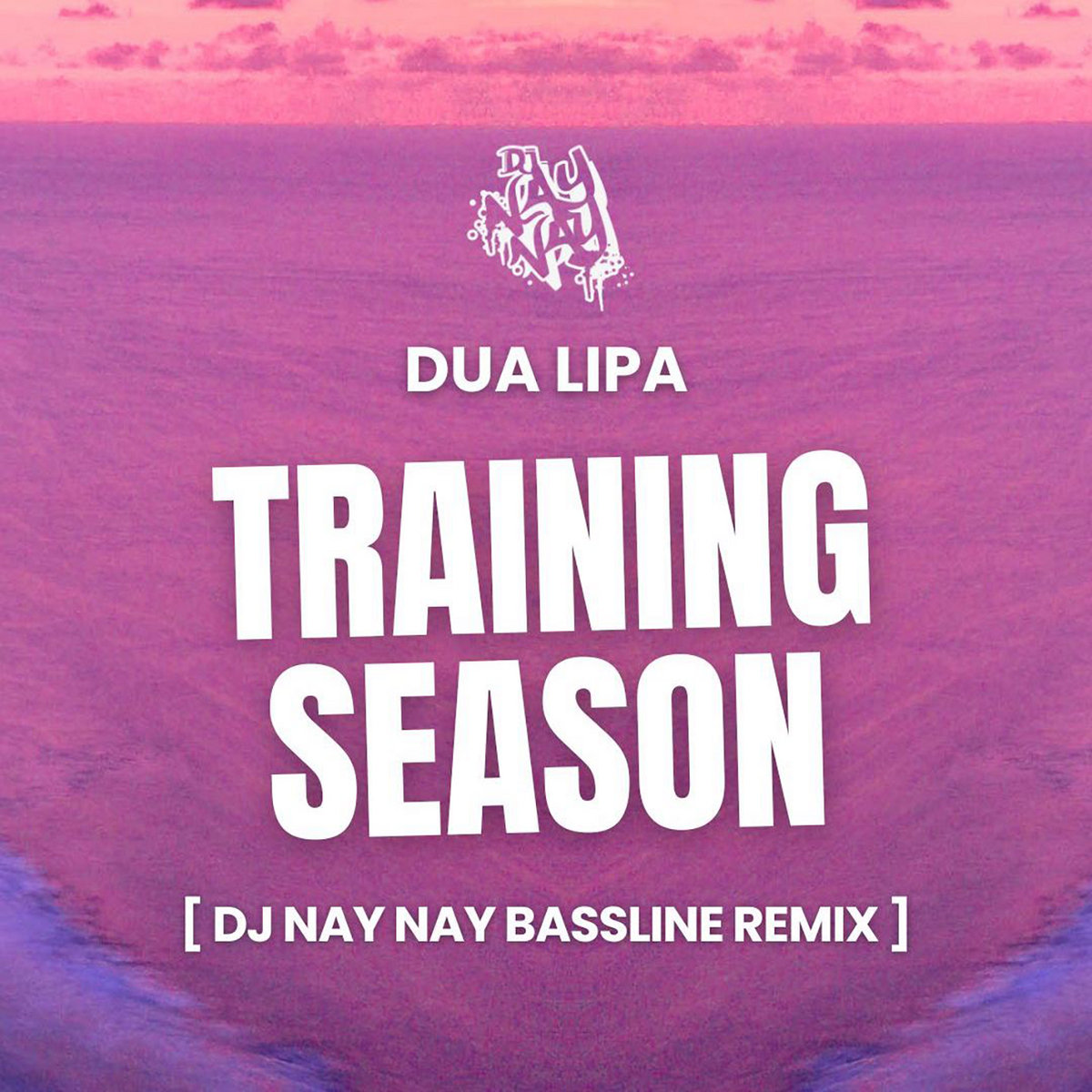 Training Season (Remix) | Dj Nay Nay