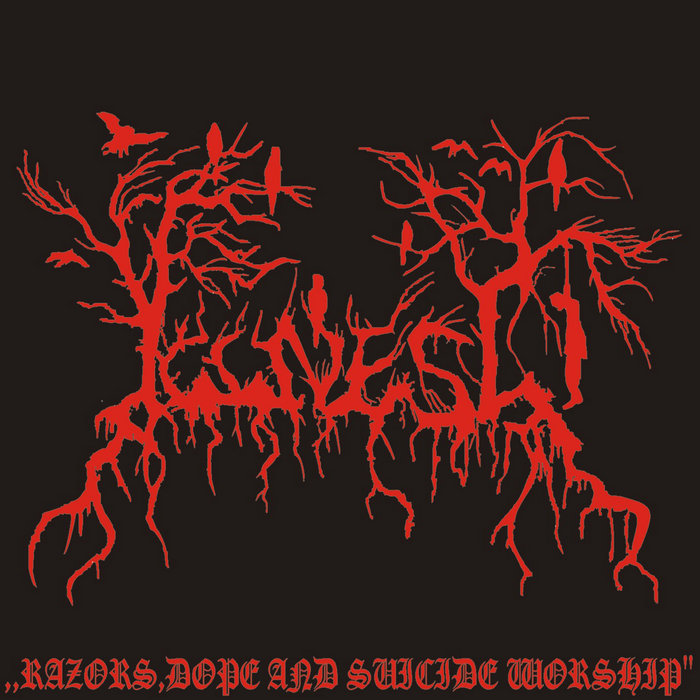 "Razors, Dope and Suicide Worship" mini album 2008 | ILLNESS