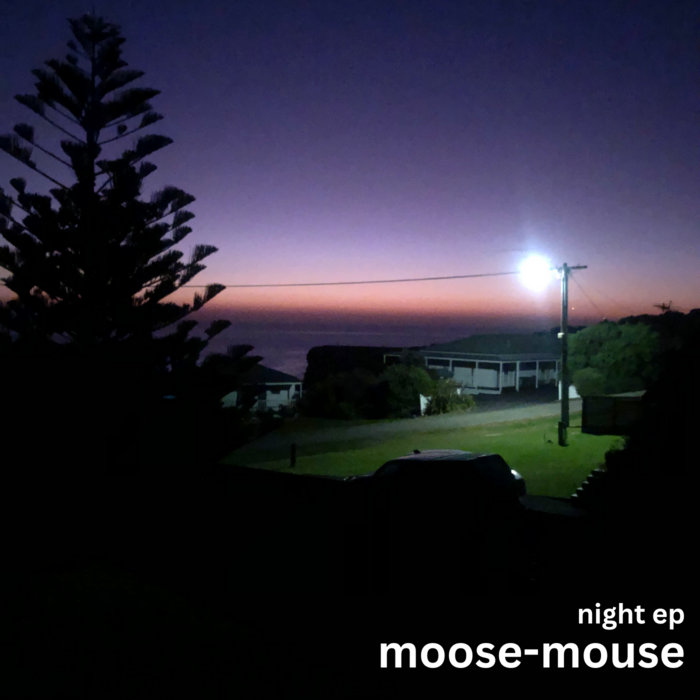 Night | Moose-Mouse