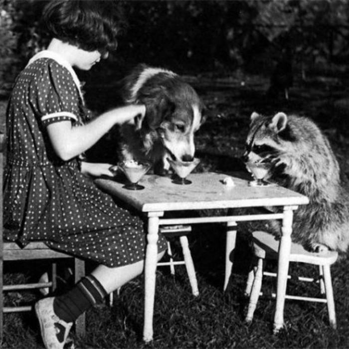 Miscellaneous tracks | Yankee Roses Collective | Yankee Roses