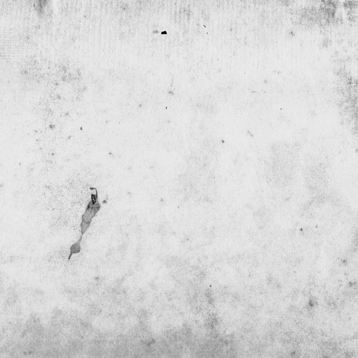 First Noise | gestalt