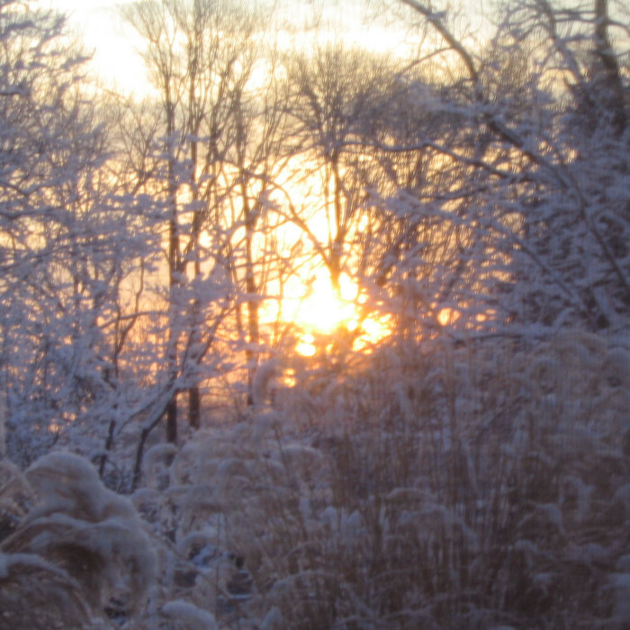 Winter Town | Noun Generator