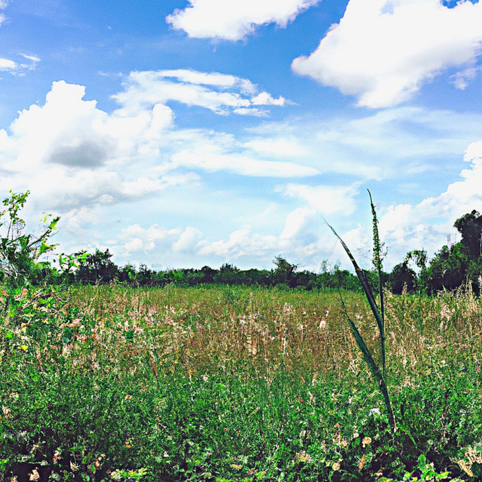 Simple Days | InHappy | Anthony Boccaleoni