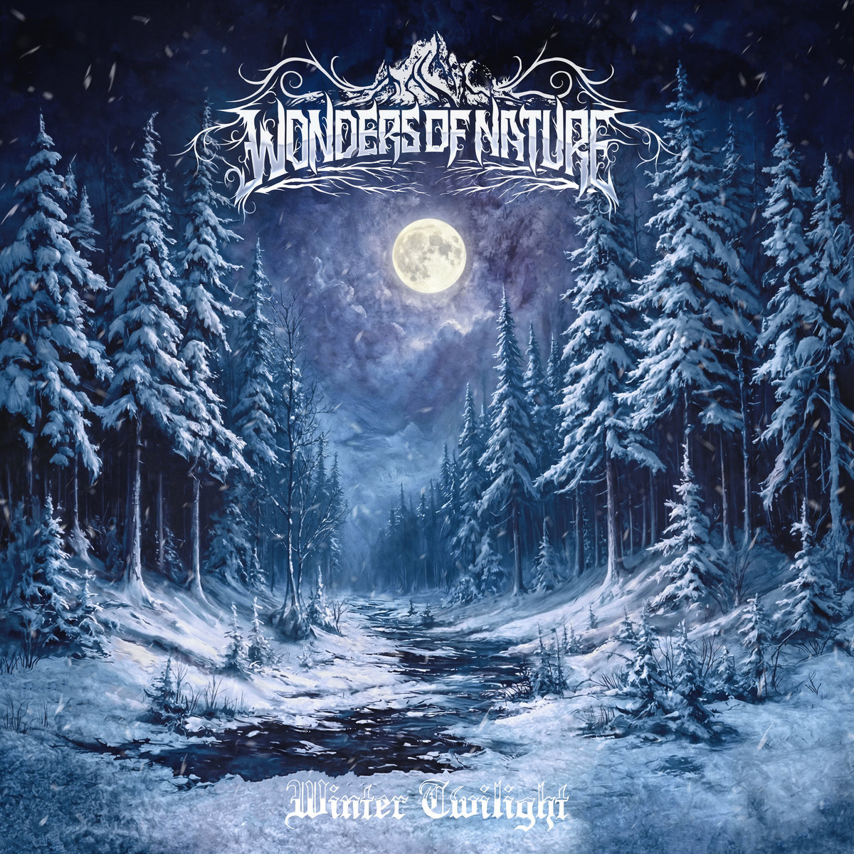 Winter Twilight | Wonders Of Nature