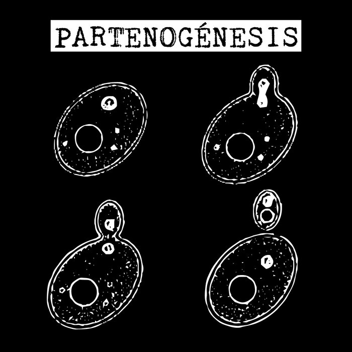PARTENOGENESIS | Partenogenesis