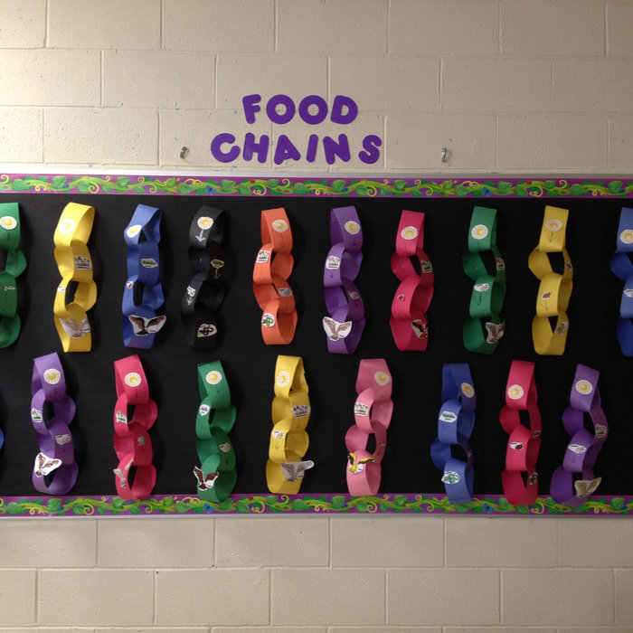 Understanding Life Science Grade 11 Pdf Free | Elmiyama | dappstitasunur