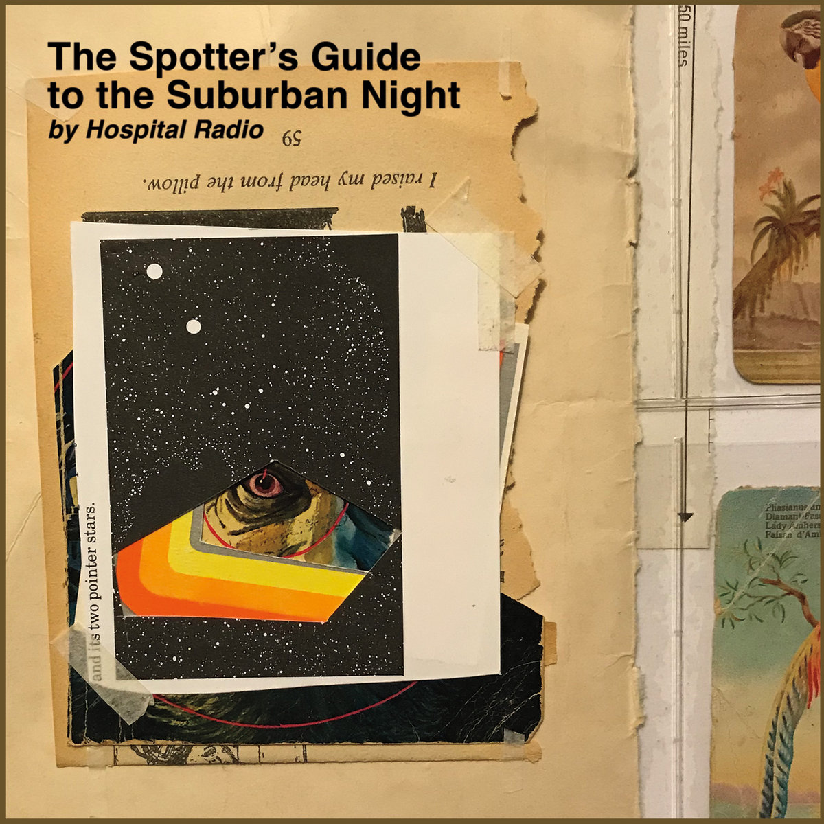 The Spotter's Guide to the Suburban Night (Remastered) | Hospital Radio