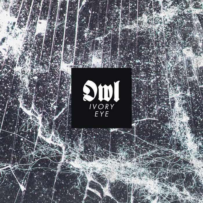 Ivory Eye | Owl | Total Dissonance Worship