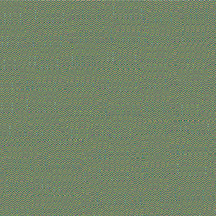 עלי תאנה (שיר ליובל) | boydem vibes