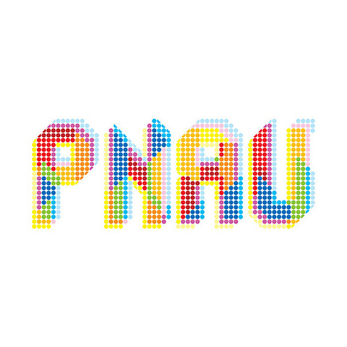 PNAU [Remix Album] | PNAU
