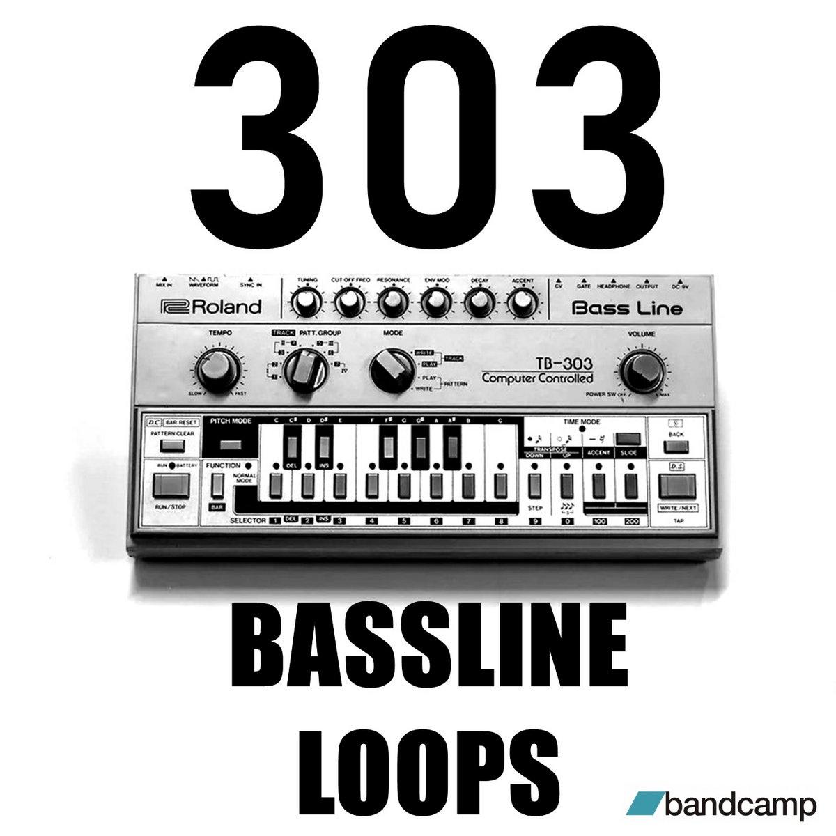 303 Bassline Loops | Dynamic Sample Packs