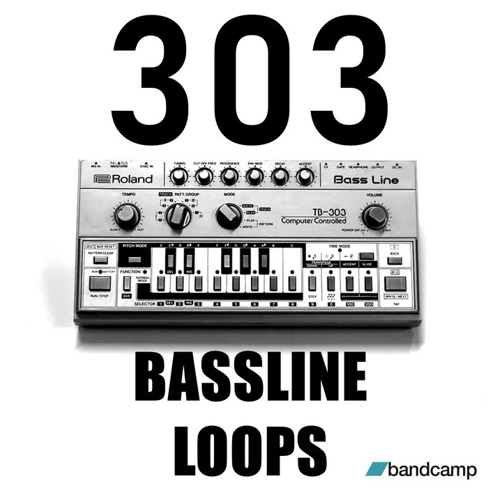 303 Bassline Loops | Dynamic Sample Packs
