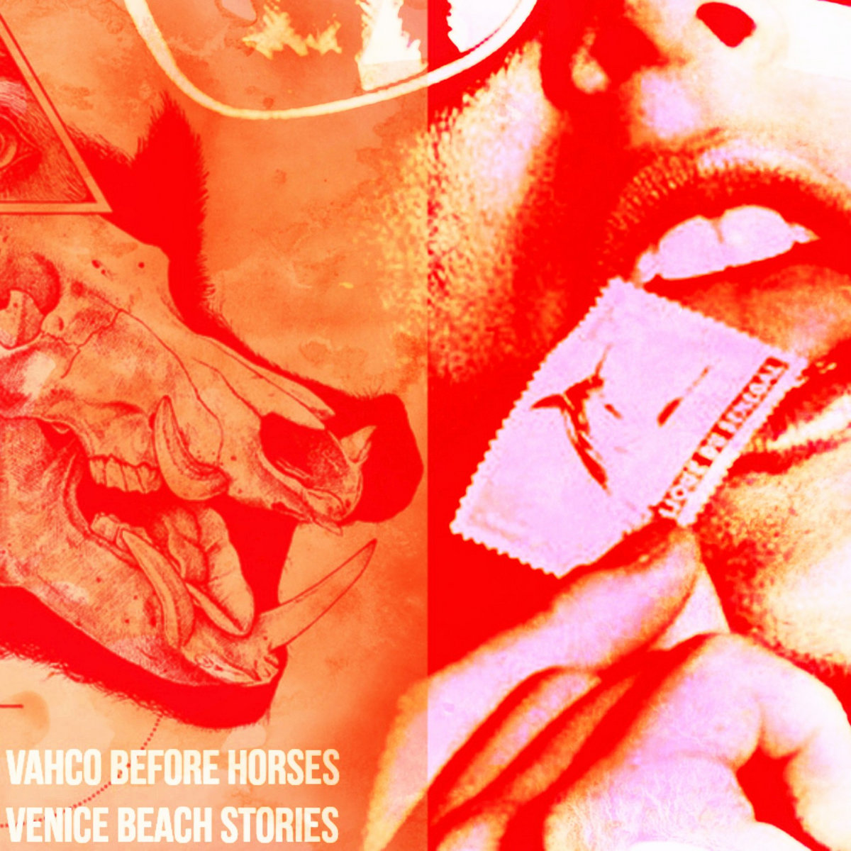 VENICE BEACH STORIES | VAHCO