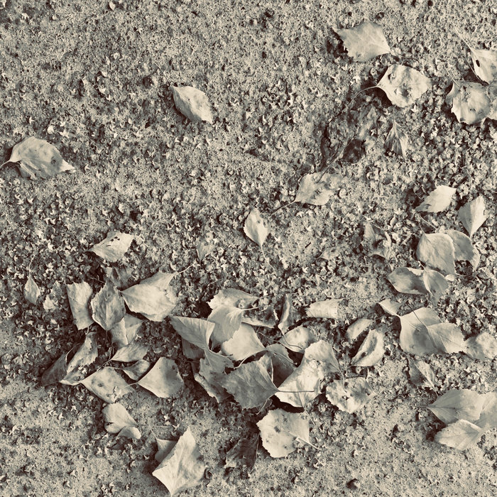 2023-1 | Sleeparchive