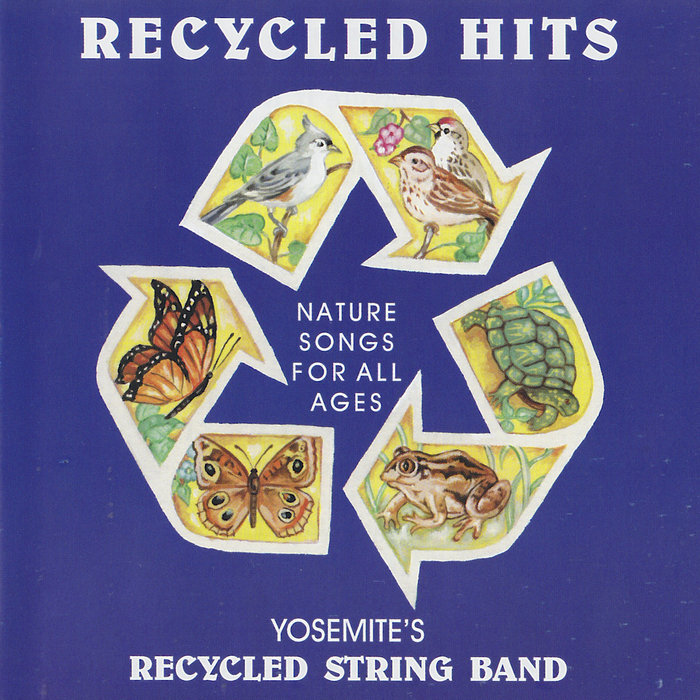 Recycled Hits | Gail Lynne Dreifus