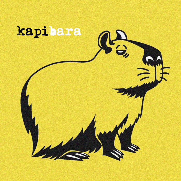 To nie jest płyta, tylko podkładka żebyśmy mogli grać koncerty | Kapibara