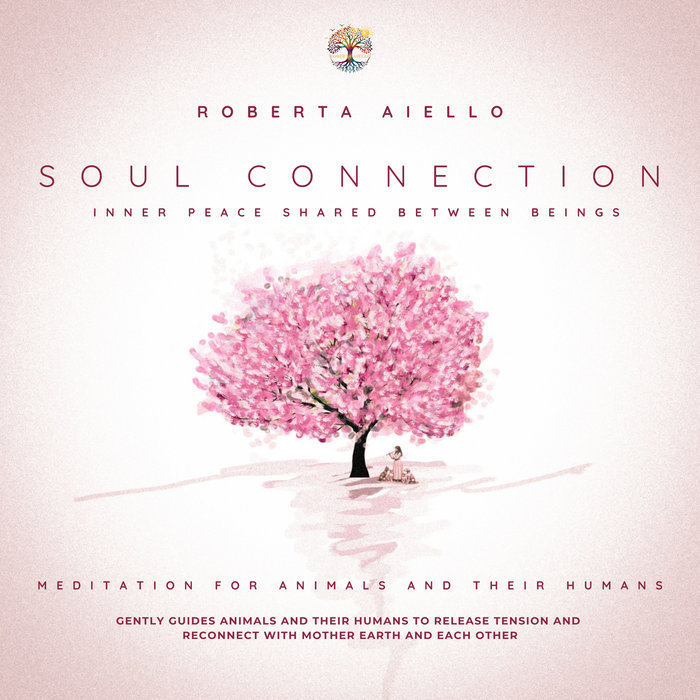 Soul Connection - Guided meditation for animals and their humans ...