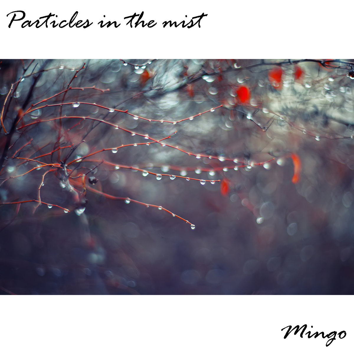 Particles In The Mist | Mingo