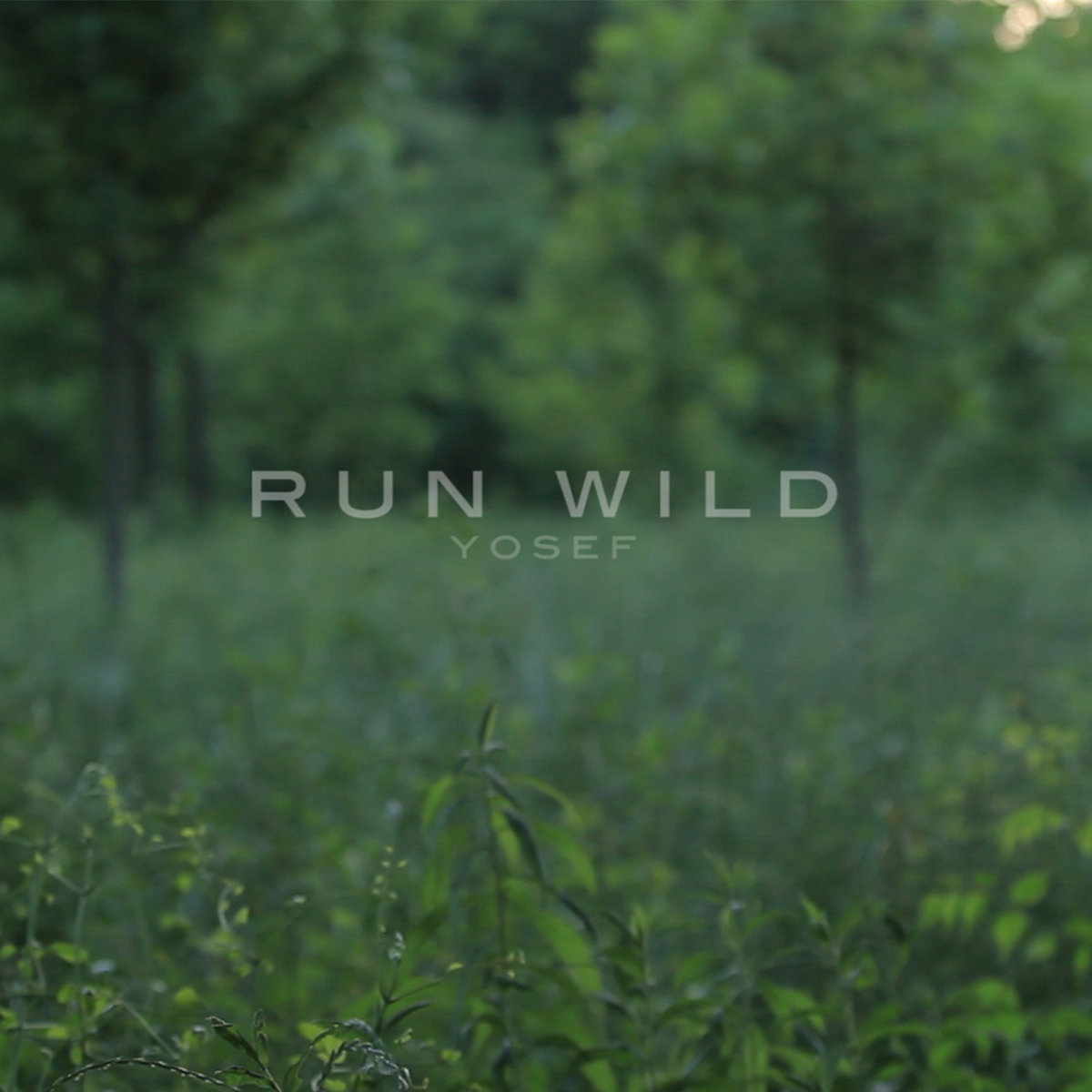 Run Wild | Yosef