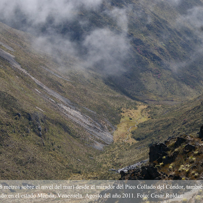 Trekkers | César Roldán